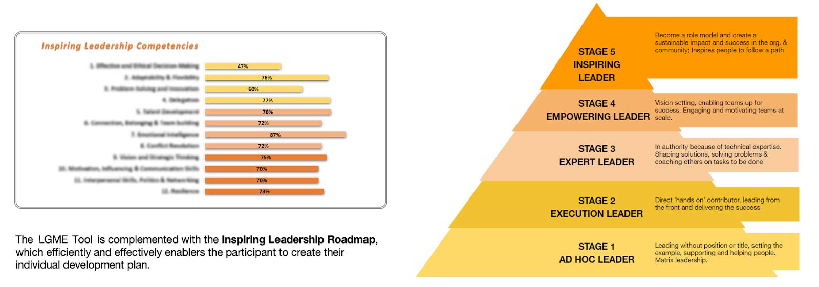 Leadership Tools by Dr. Avi – Strategic Talent Development tools for ...